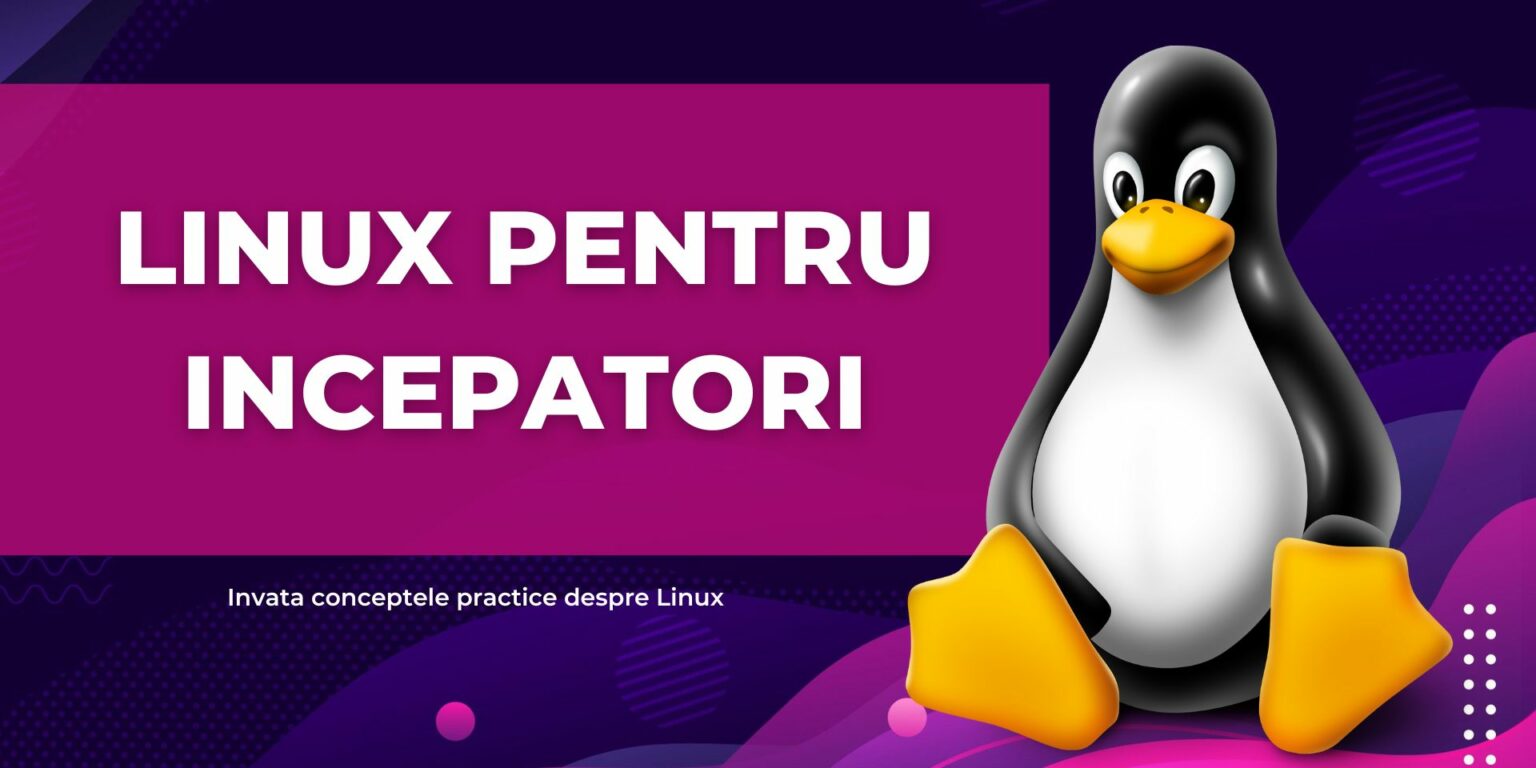 Ce este Linux si cum il folosesti: Ghidul complet pentru incepatori - TeachBit.ro